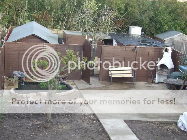 Snake rooms and Facilities. | Reptile Forums