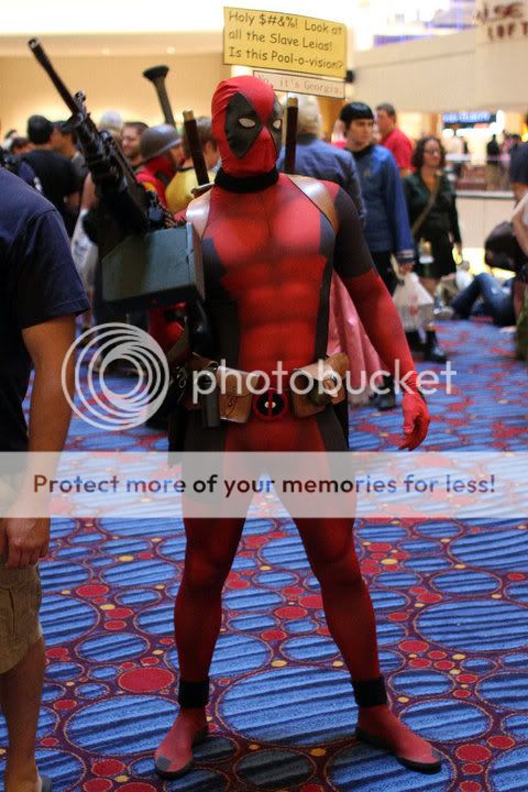 New member weighing options and idea for an idea. Will need input from ...