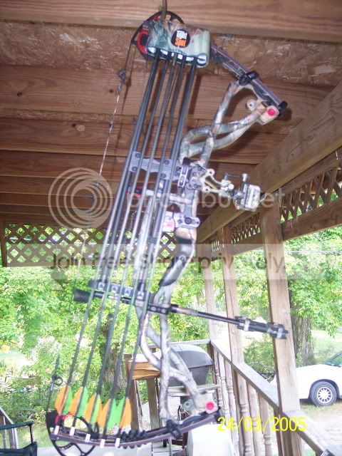 My new hoyt carbon element with 80# limbs | Archery Talk Forum