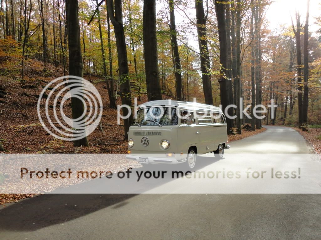 TheSamba.com :: Bay Window Bus - View topic - Bays in Fall/Autumn ...